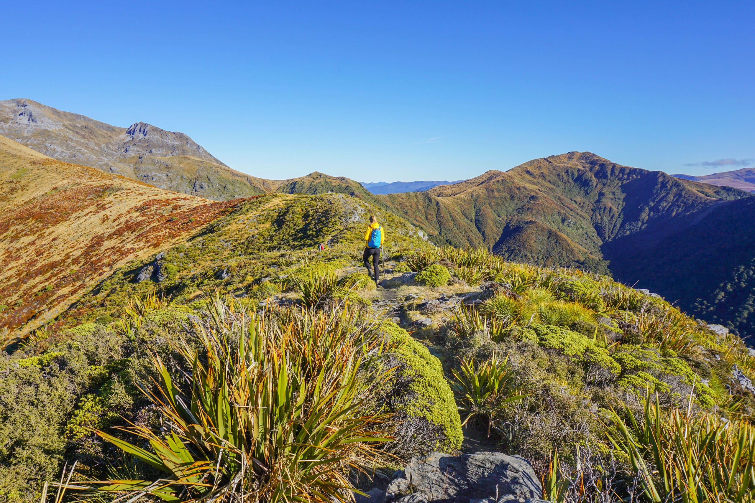 Mt Arthur Hike - Abel Tasman Trips - The Barn Cabins & Camp